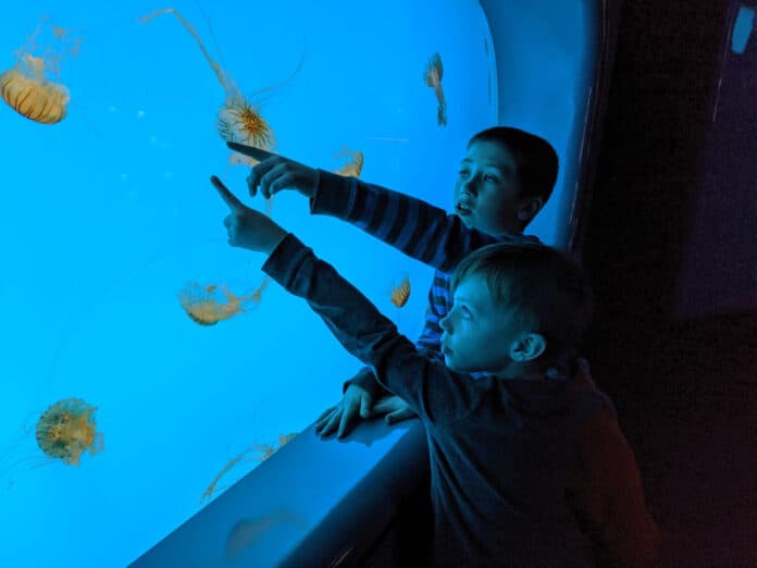 27 Awesome Indoor Recreational Activities - Wilderness Redefined