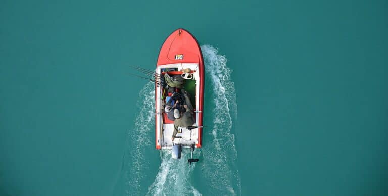 Best Fishing Shows On TV - Updated 2026 - Wilderness Redefined